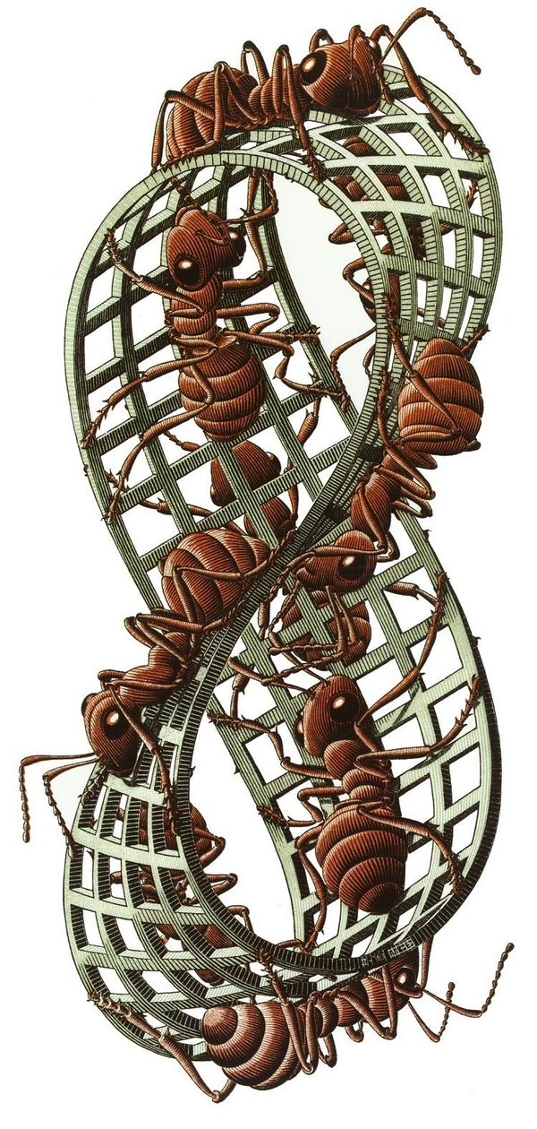 The Mobius Band and Other Surfaces - EscherMath